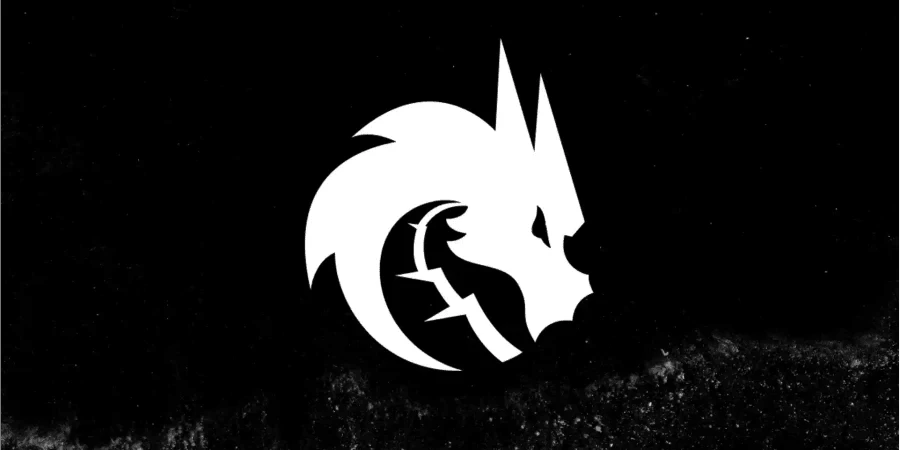 CEO Team Spirit: On Yatoro's Return, Dota 2 Prospects, and Salaries in ...