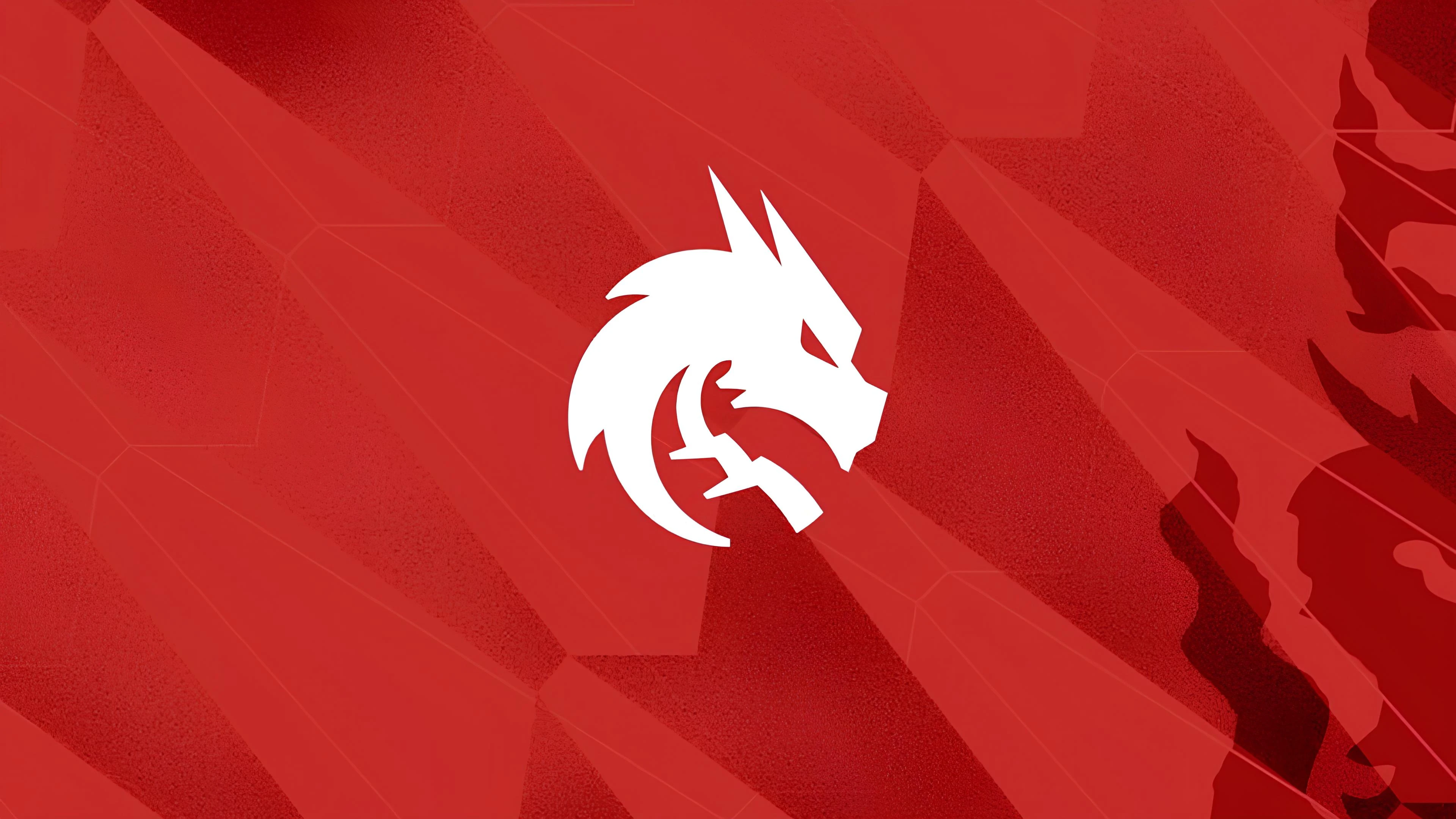 not me has officially joined Team Spirit | CyberScore